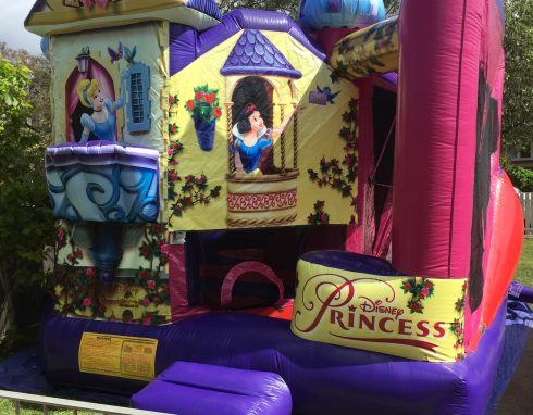 Cheap Disney Jumping Castle Hire Sydney | Jump2U